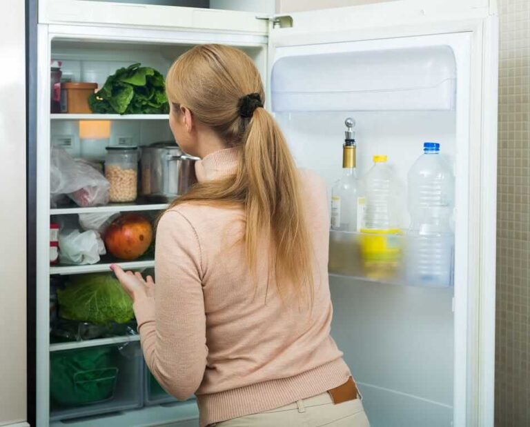 Basic Refrigerator Maintenance